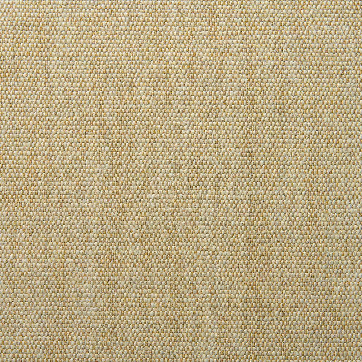 Orta - Blonde | Woven Fabric | Linwood