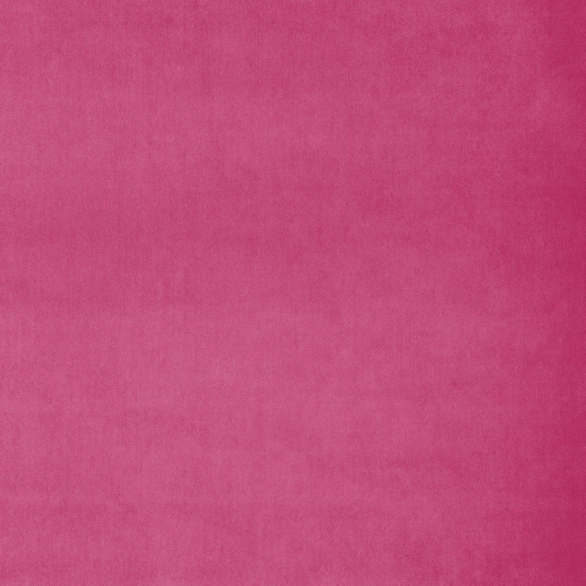 Omega - Pink | Velvet Upholstery Fabric | Linwood