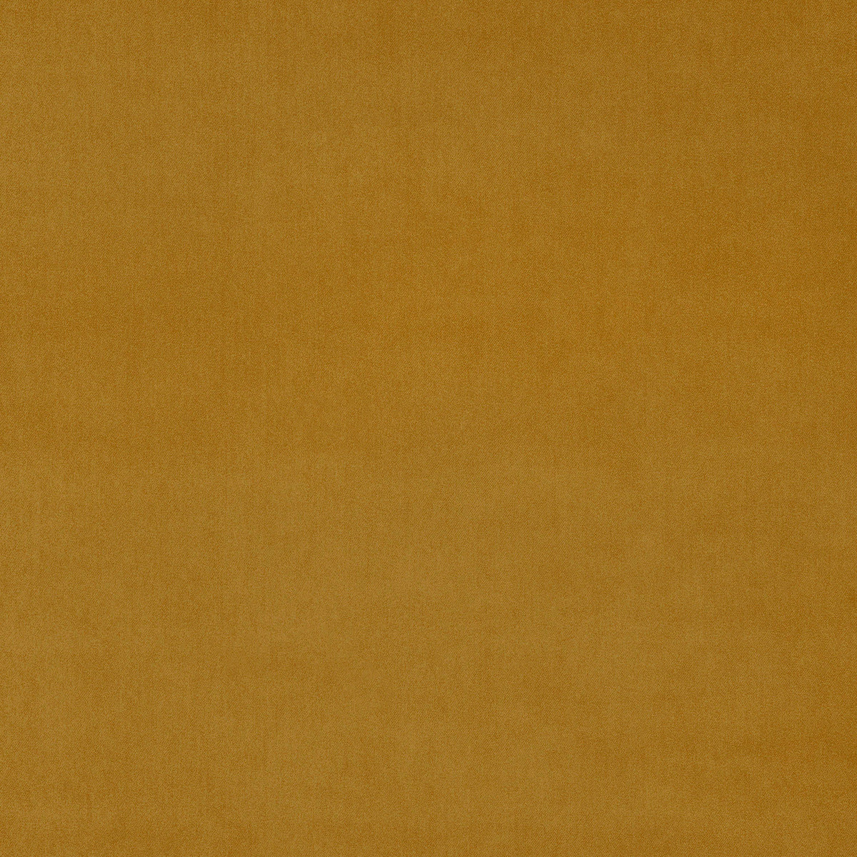 Omega – Maize | Velvet Upholstery Fabric | Linwood