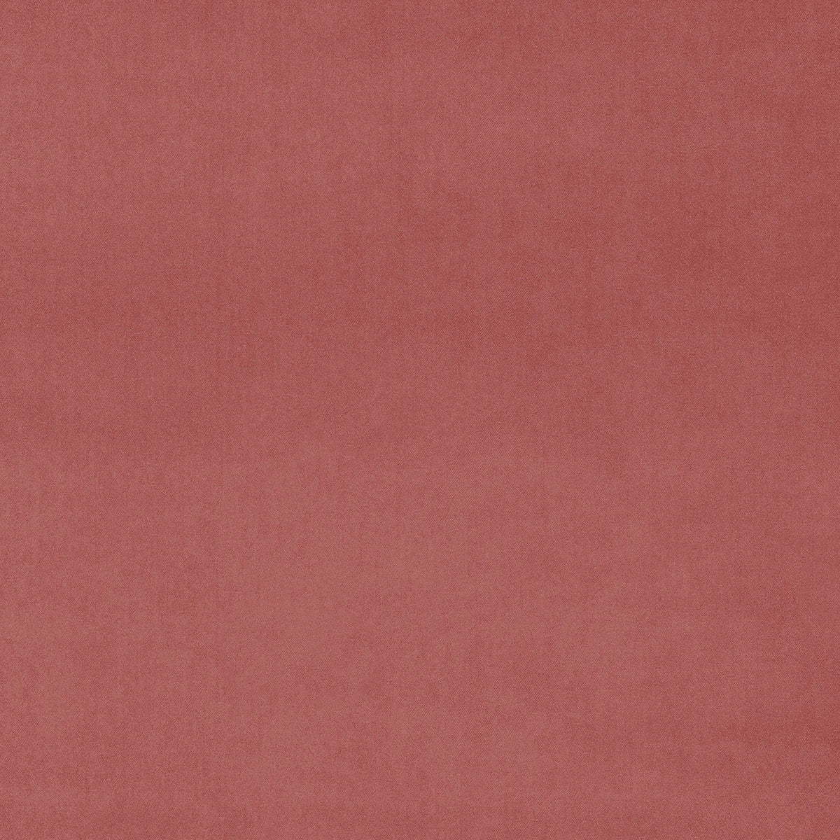 Omega – Watermelon | Velvet Upholstery Fabric | Linwood