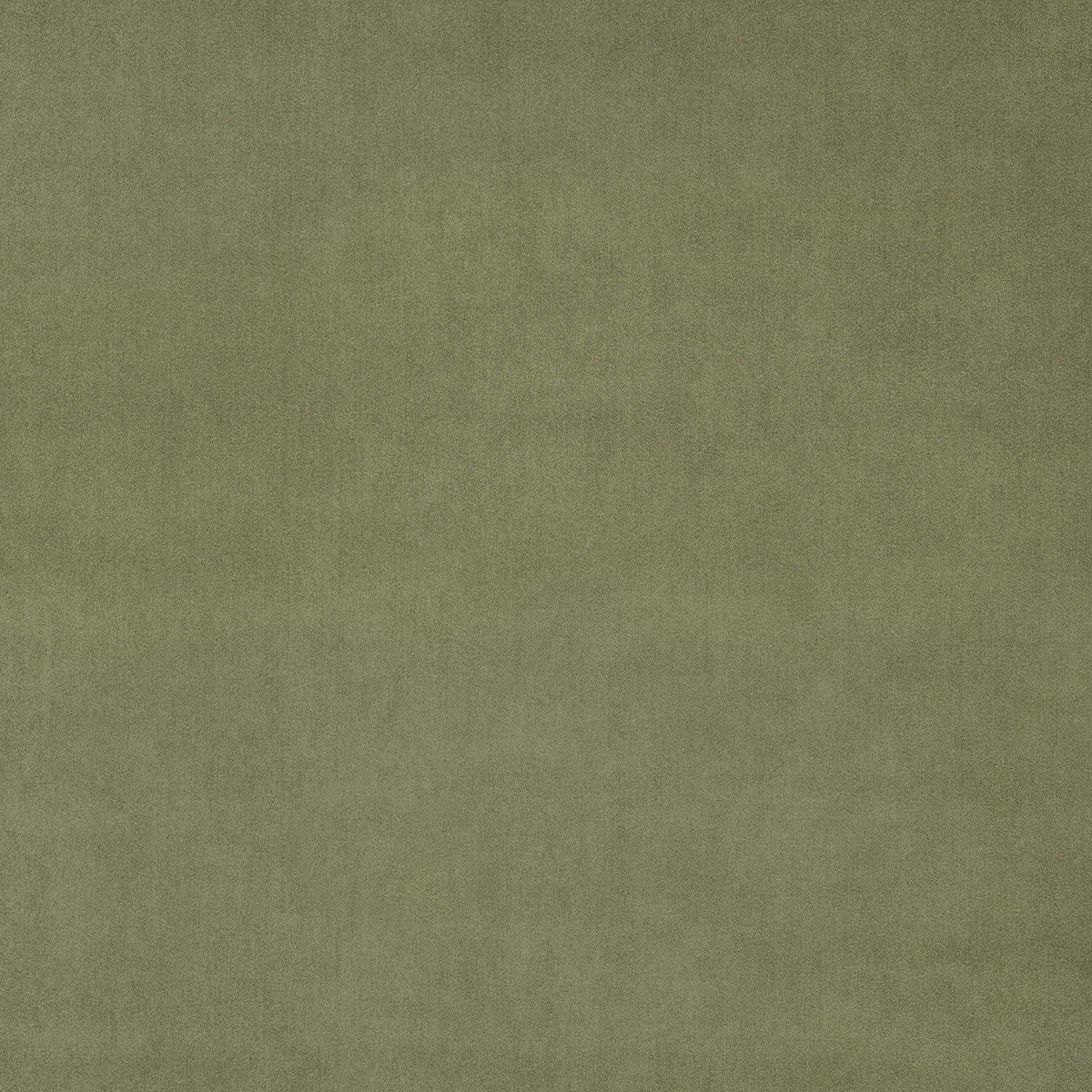 Omega – Green Tea | Velvet Upholstery Fabric | Linwood